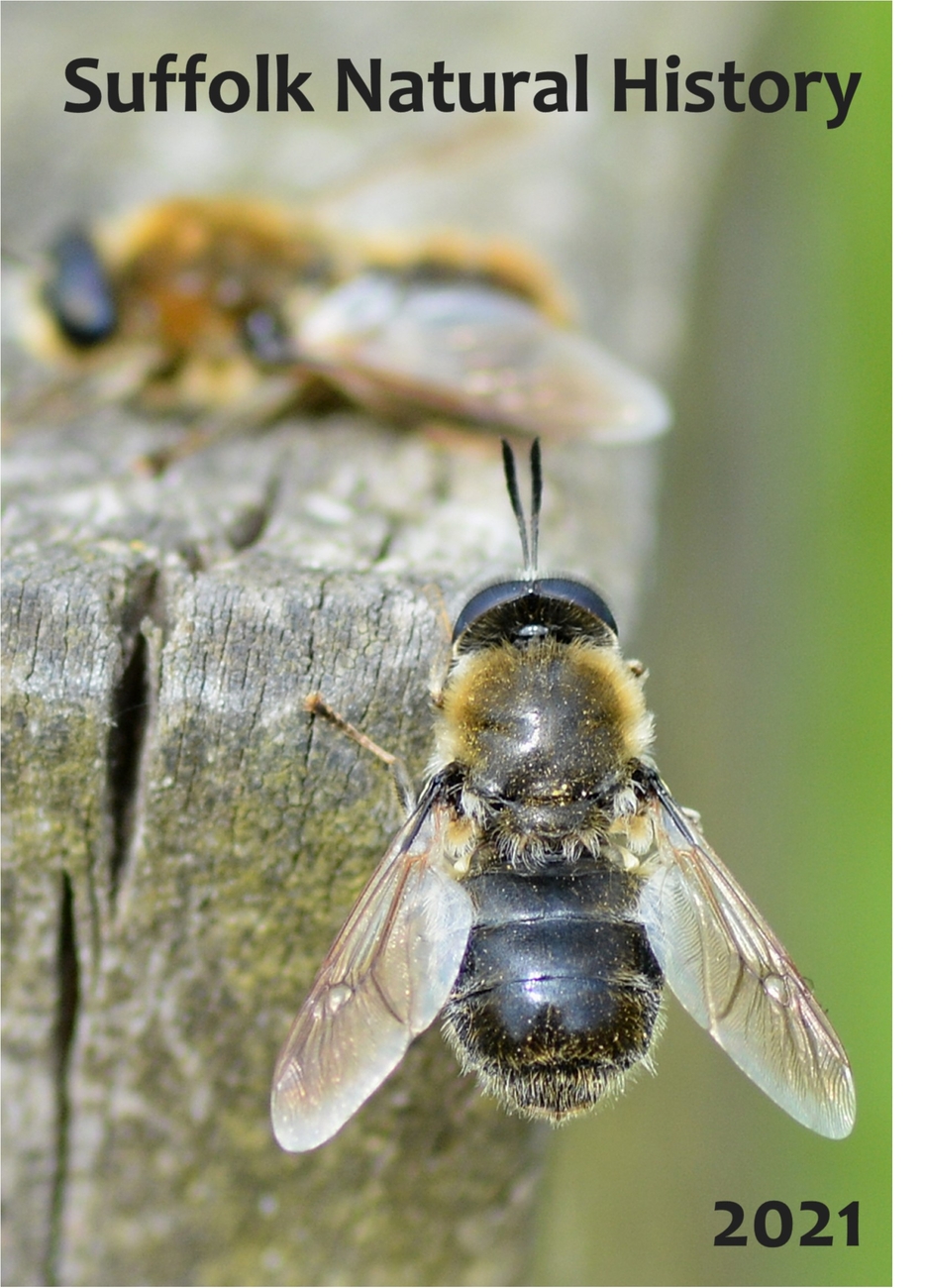 Suffolk Natural History | Suffolk Biodiversity Information Service