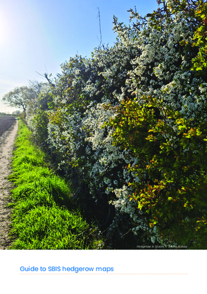 Hedgerows – PDF Maps | Suffolk Biodiversity Information Service